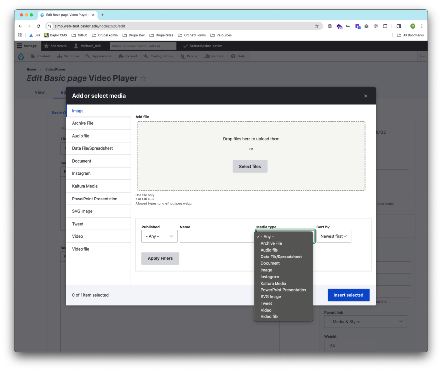 Embed & Format Media | Drupal Content Management System (CMS) | Baylor ...
